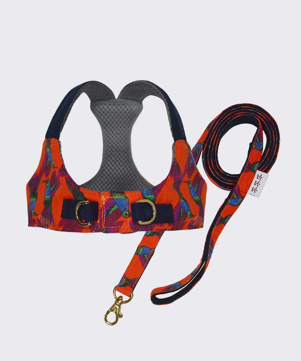 One-Touch Easy Harness—Hummingbird - STUDIO OLLIE